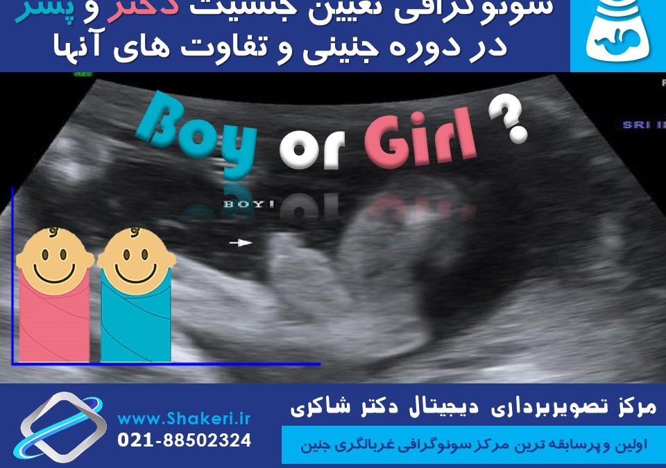 سونوگرافی تعیین جنسیت دختر و پسر در دوره جنینی و تفاوت های آنها مرکز